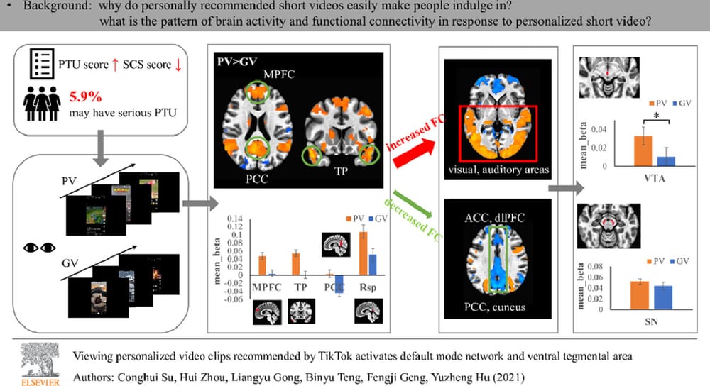 The People vs TikTok Brain